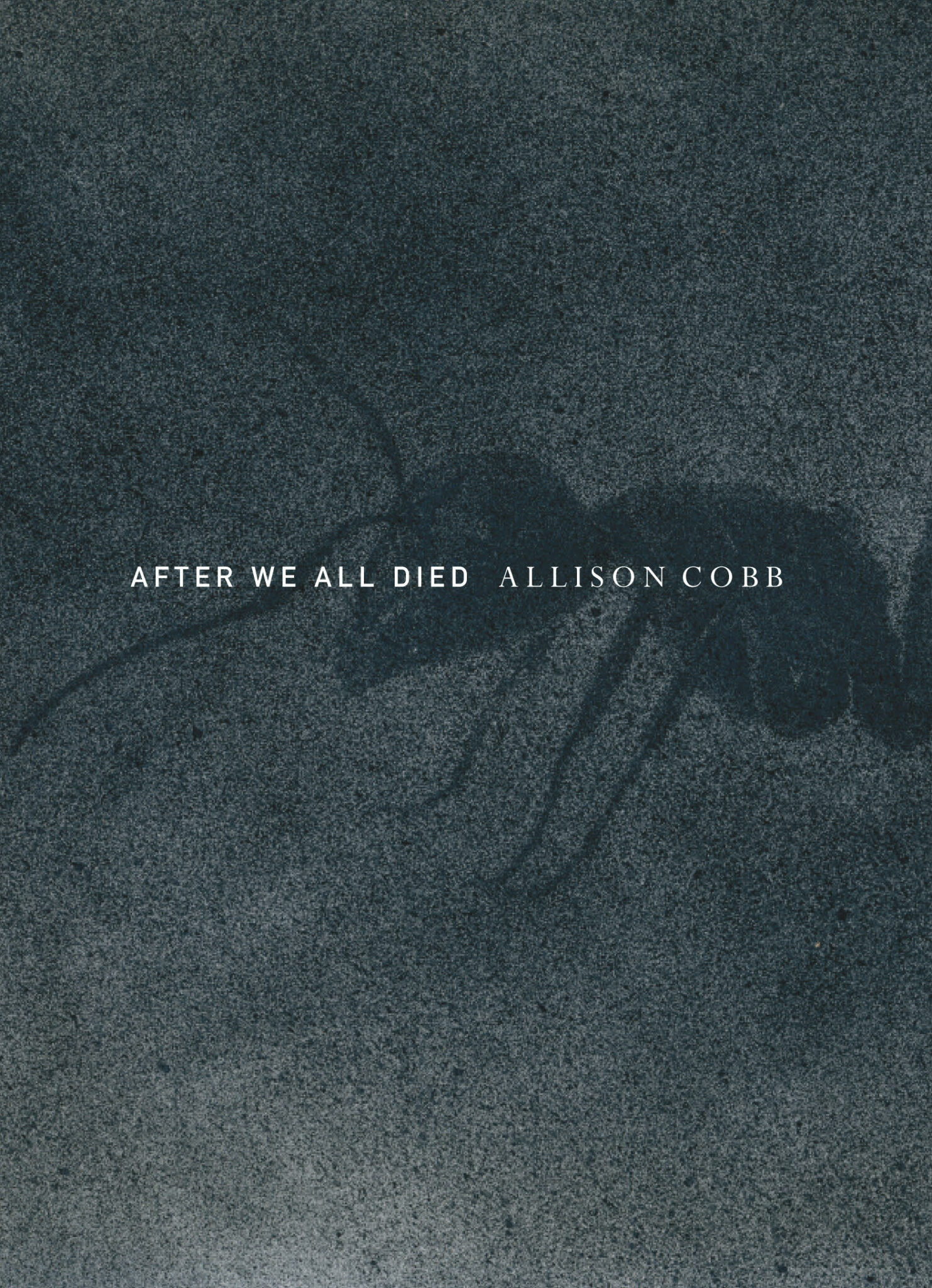 Allison Cobb – Nightboat Books